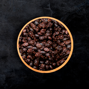 Hormiga Chicatana - El Arca de Noé